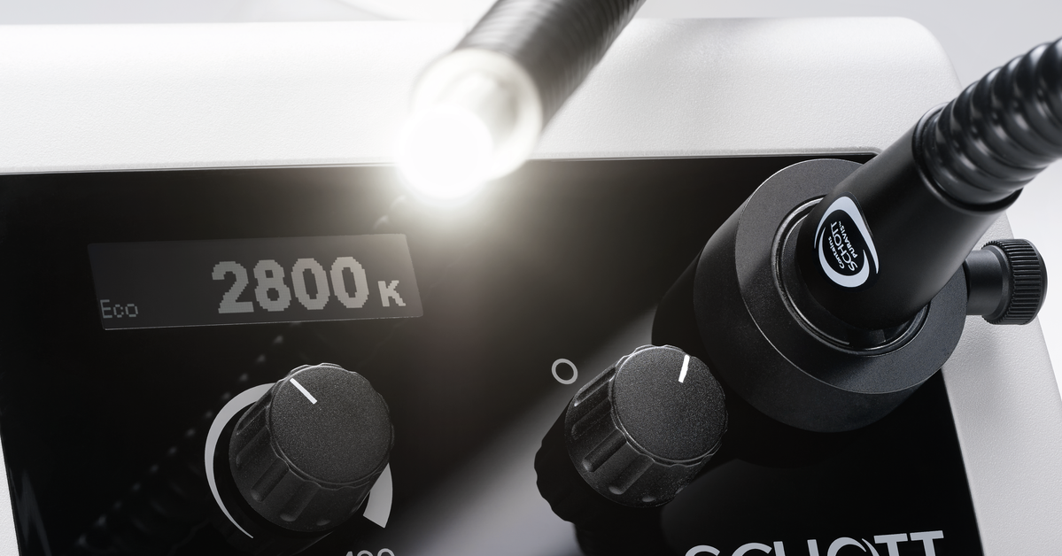 Product variants of KL Fiber Optic Light Guides | SCHOTT